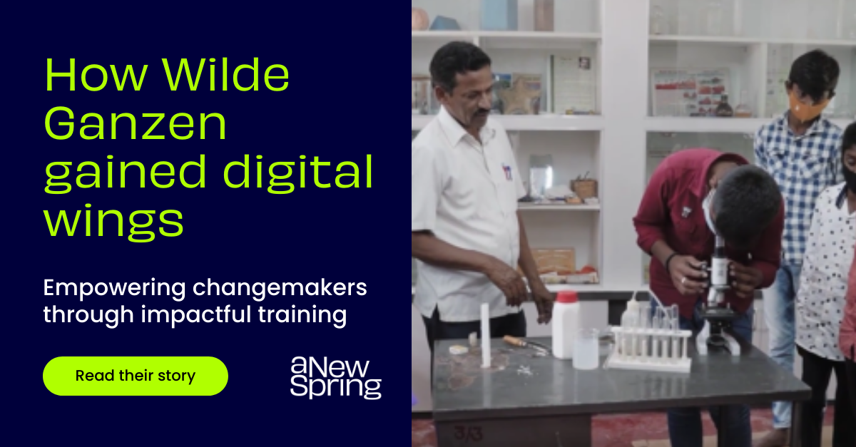 Wilde Ganzen | aNewSpring