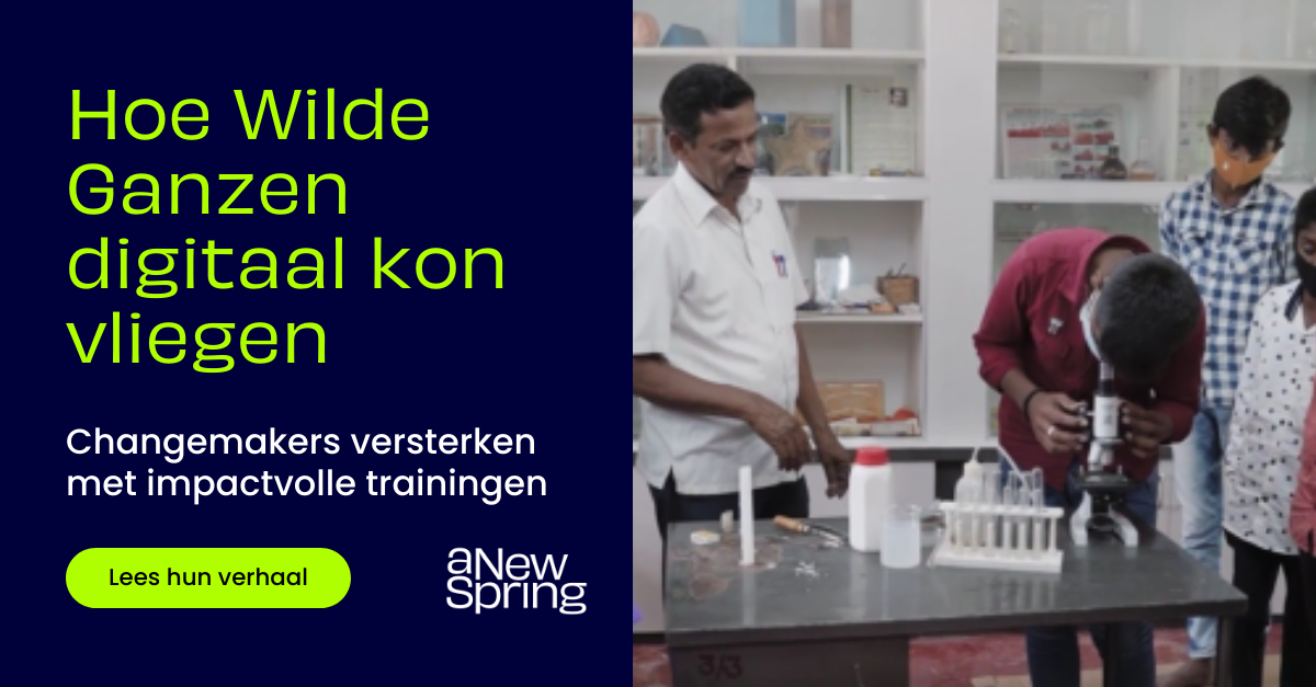 Wilde Ganzen | aNewSpring